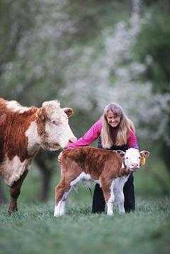 Ray-Carroll County Grain Growers